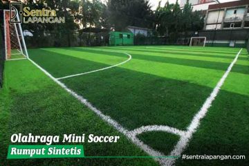 Harga Jasa Pembuatan Lapangan Mini Soccer Terbaru 2022 - Promo